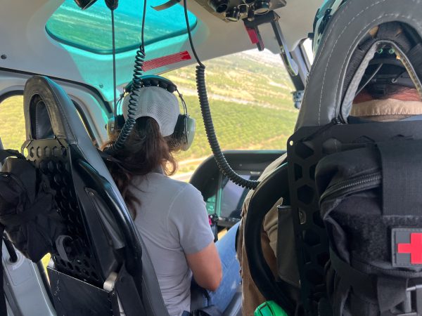 Michelle Salzman – Representative of Florida's First District in the ...